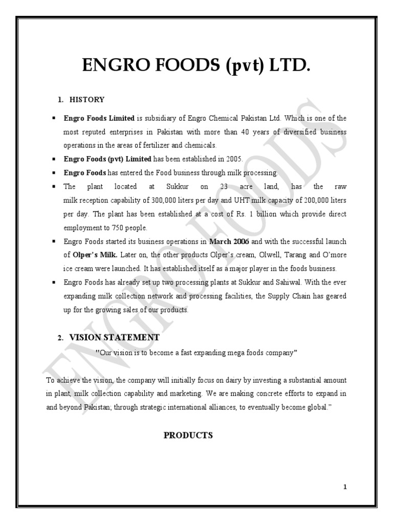 Engro Foods LTD | PDF | Brand | Marketing