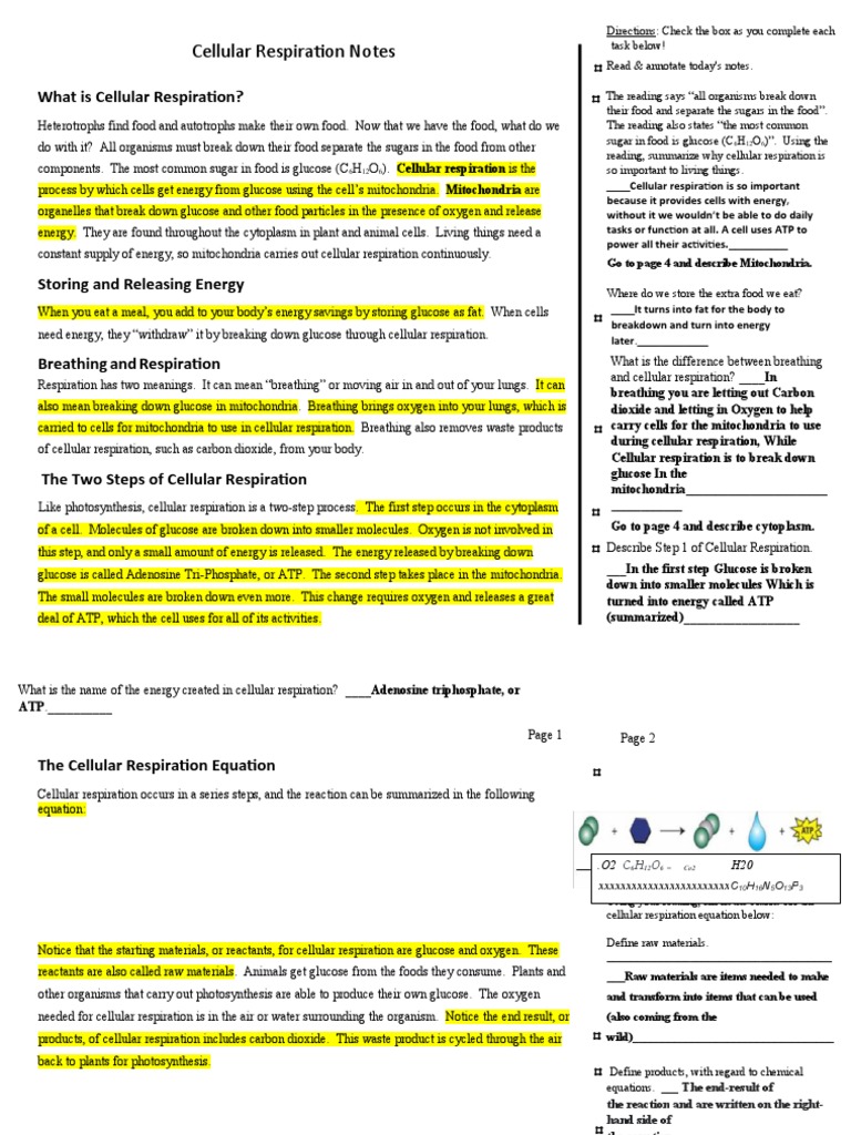 Day 117-119d Cellular Respiration Active Notes | PDF | Cellular ...