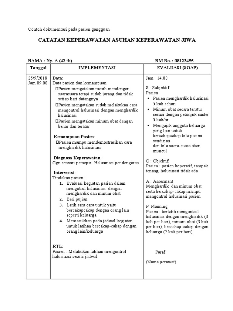 Contoh Catatan Keperawatan Jiwa | PDF