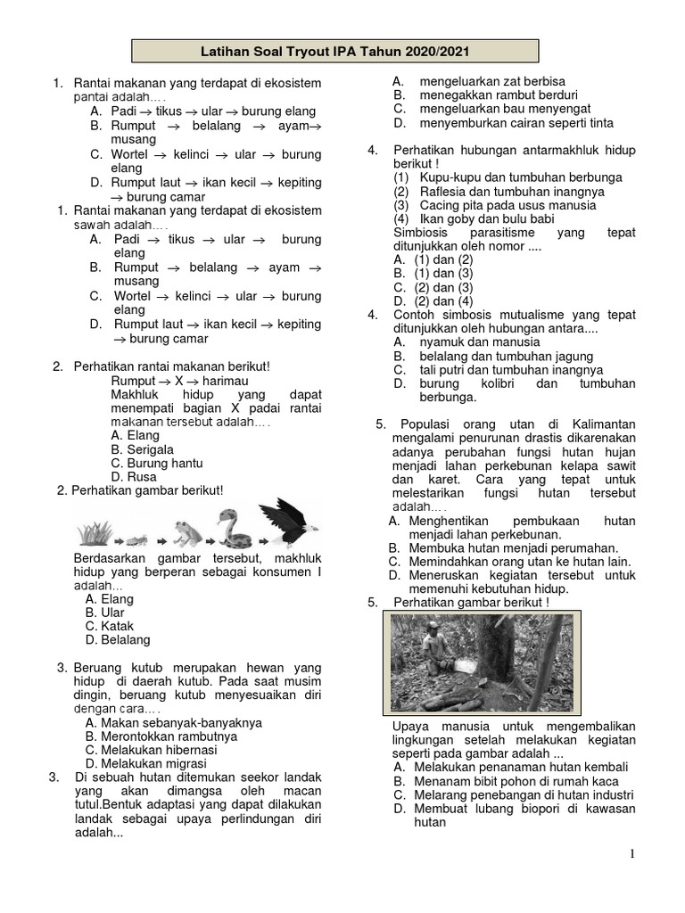 Latihan Tryout Ipa Soal Fix | PDF