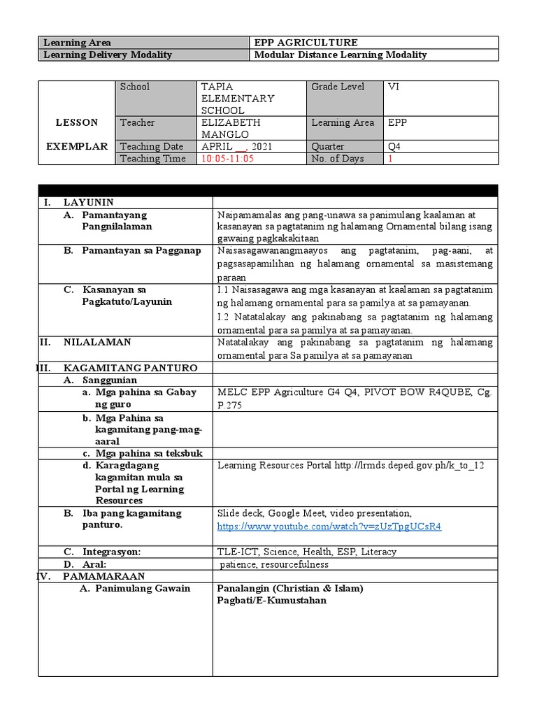 Lesson Exemplar in Epp4 | PDF