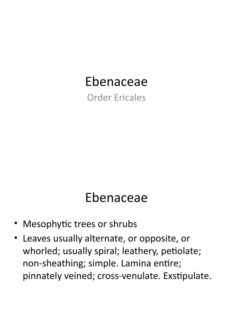 Ebenaceae: Order Ericales | PDF | Edible Plants | Fruit