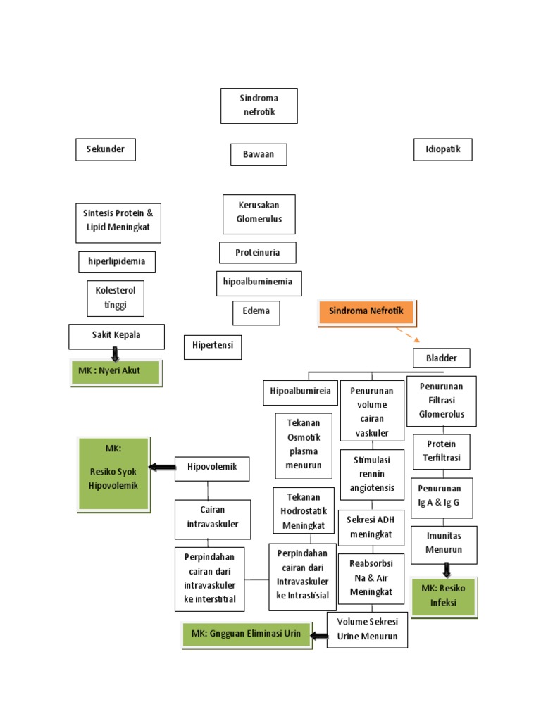Pathway Sindrom Nefrotik | PDF