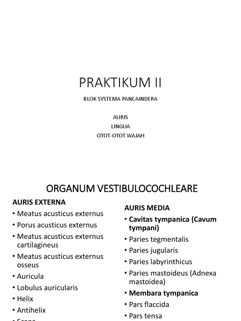 Prak 2 Blok Panca Indera Rev | PDF | Ear | Soft Tissue