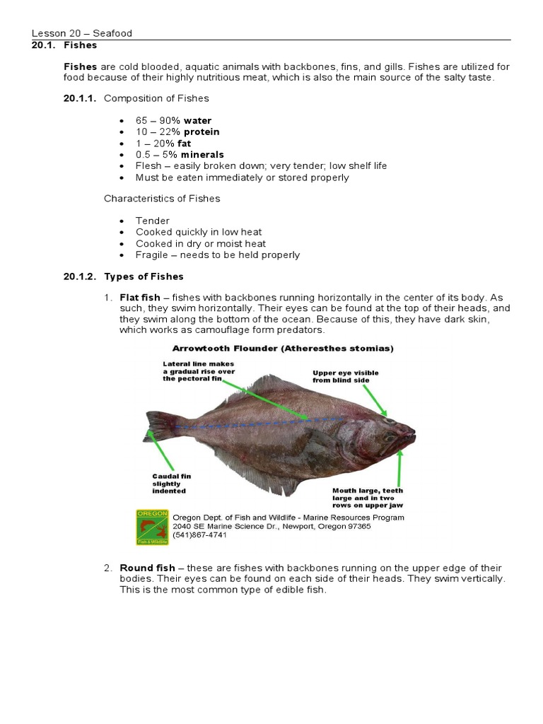 Lesson 18 - Seafood | PDF | Shellfish | Fish
