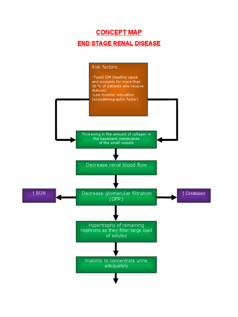 Concept Map: End Stage Renal Disease | PDF | Kidney | Medical Specialties
