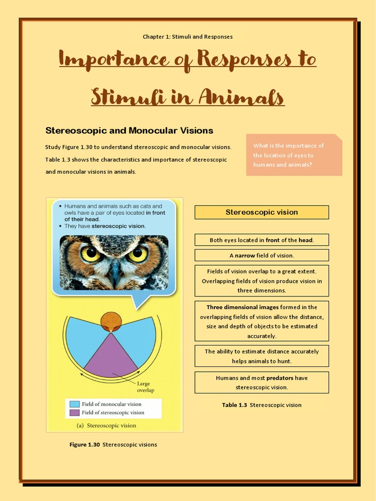 Sensory Perception in Animals: How Vision, Hearing, and Other Senses ...
