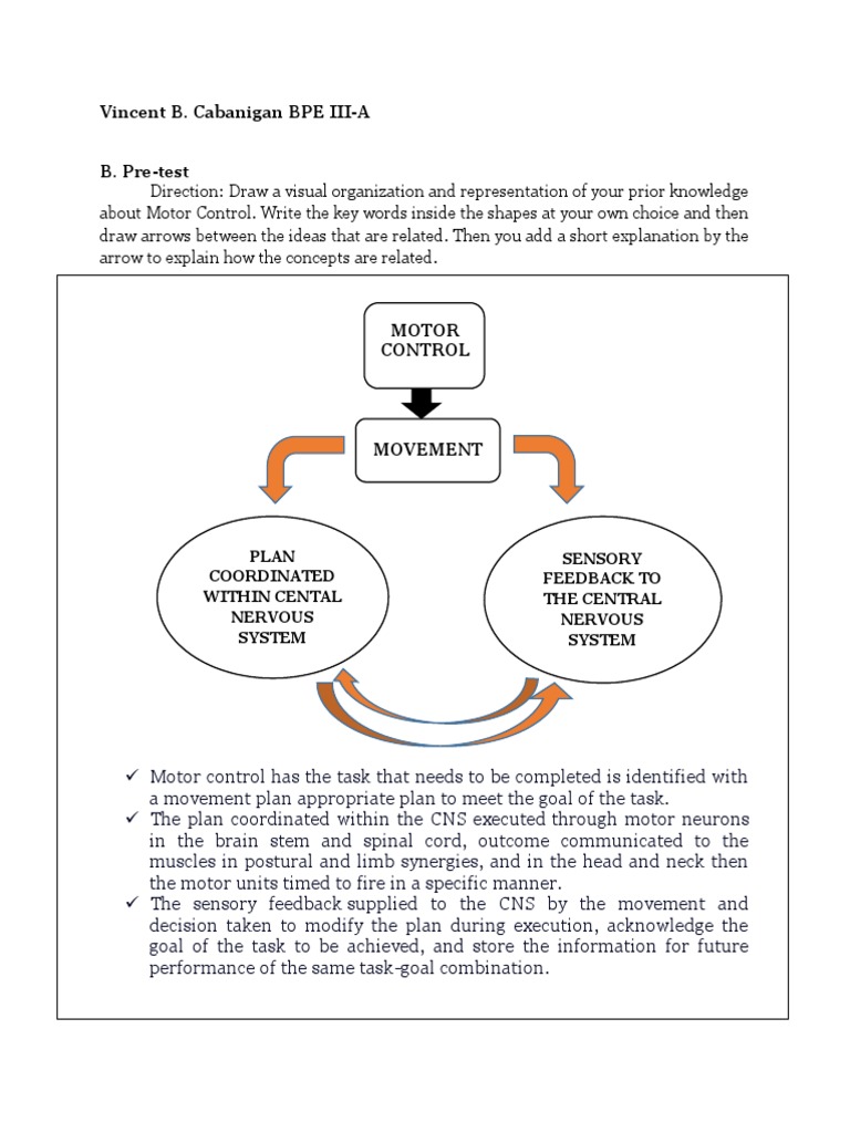 ACTIVITIES IN Motor Learning | PDF | Motor Control | Neurology