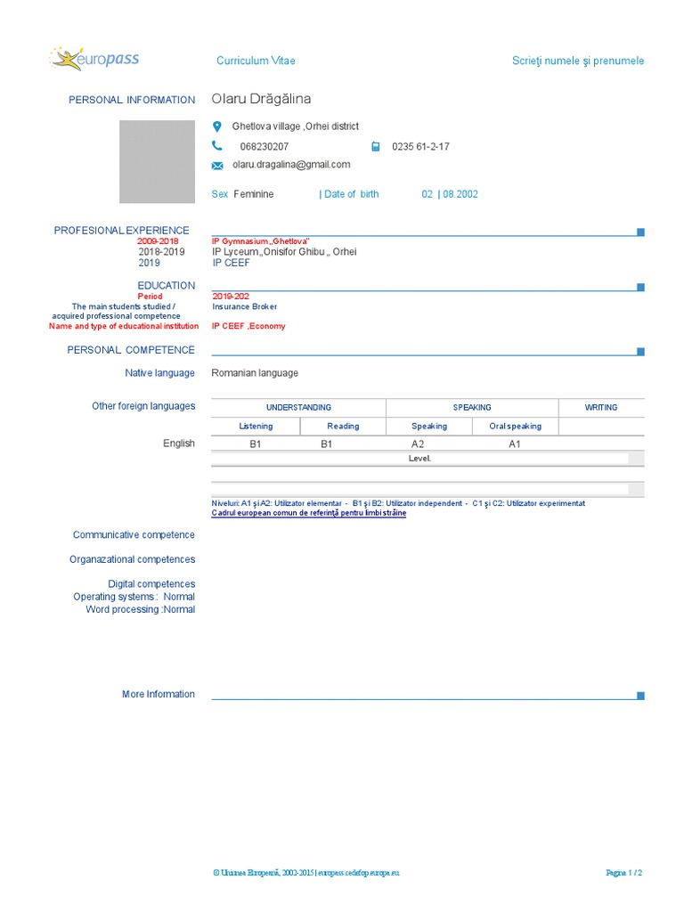 Ecv Template Ro | PDF | Language Education | Human Communication