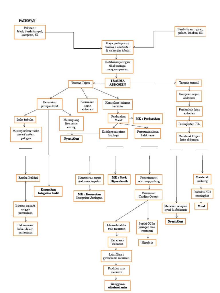 Pathway Trauma Tumpul Abdomen | PDF