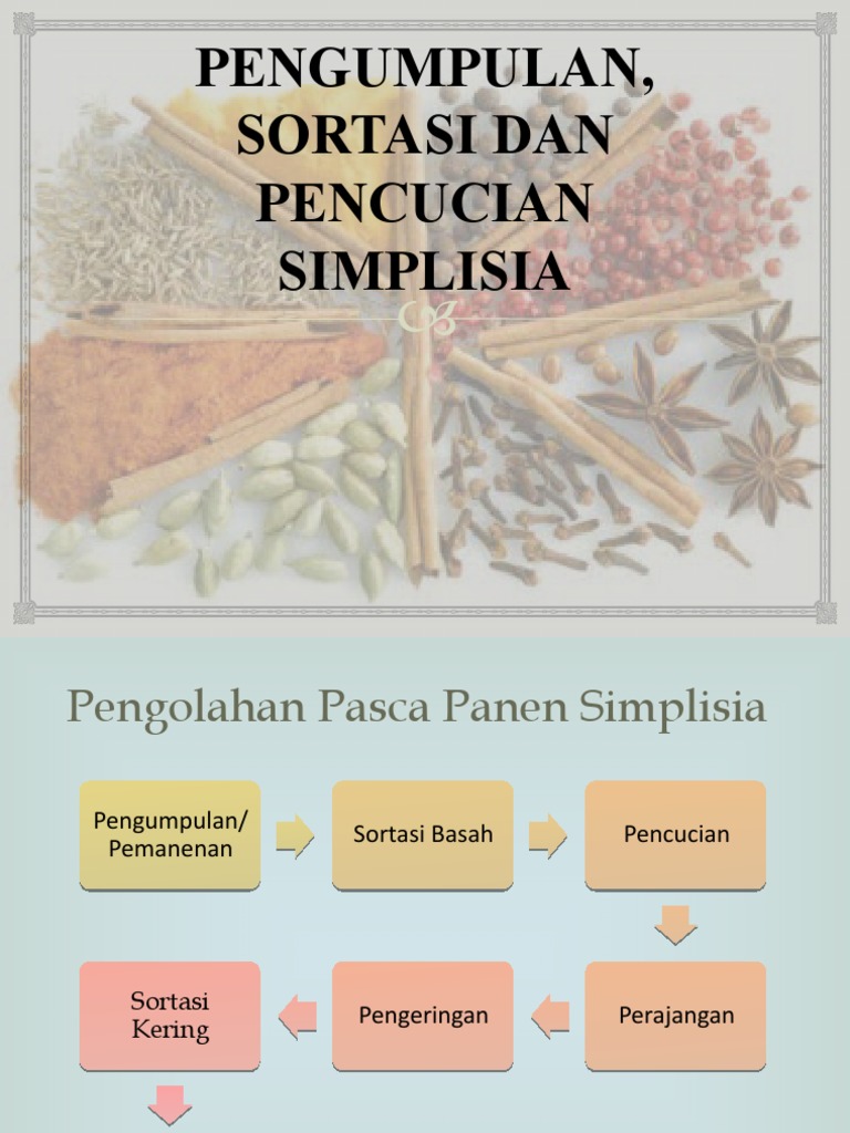 Pengumpulan, Sortasi, Dan Pencucian Simplisia | PDF