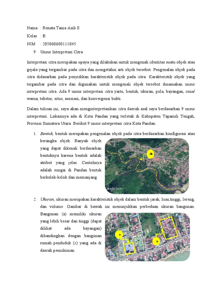 Unsur Interpretasi Citra | PDF