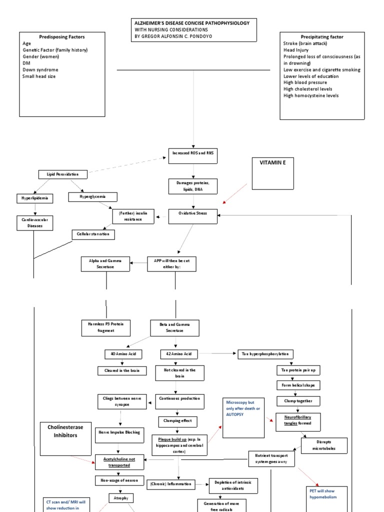 Pathophysiology of Alzheimer's disease with nursing considerations