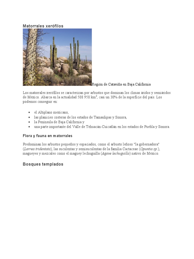 Ecosistemas de México: Matorrales y Bosques | PDF | Mangle | Plantas