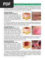 EPUAP Pressure Ulcer Grading Tool | PDF | Skin | Endocrine System