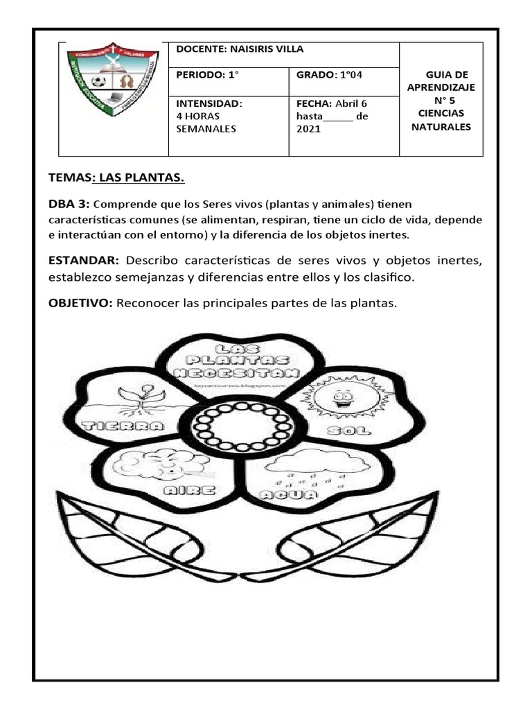 Guia 5 de Ciencias Naturales Primer Grado | PDF | Relaciones personales ...