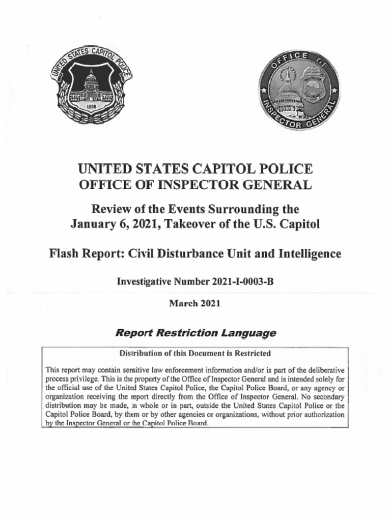 IG Report | PDF