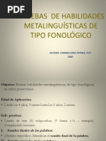 Protocolo Banfe | PDF