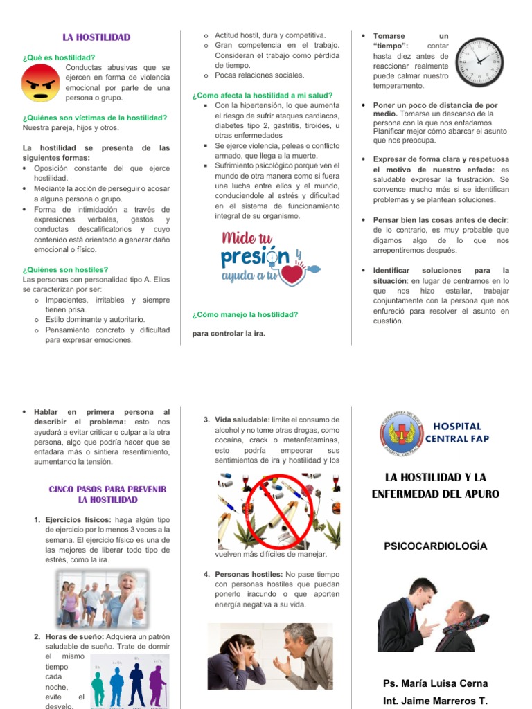 La Hostilidad Triptico | PDF | Ira | Estrés (biología)