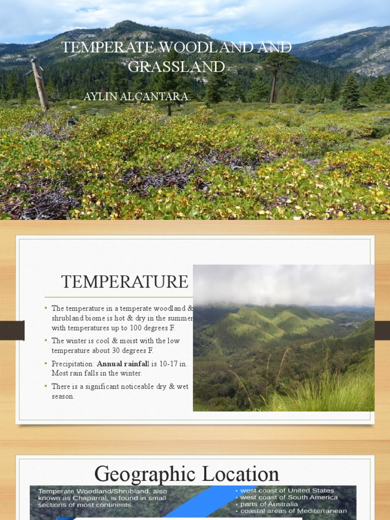 Temperate Woodland and Shrubland | PDF | Grassland | Temperate Climate