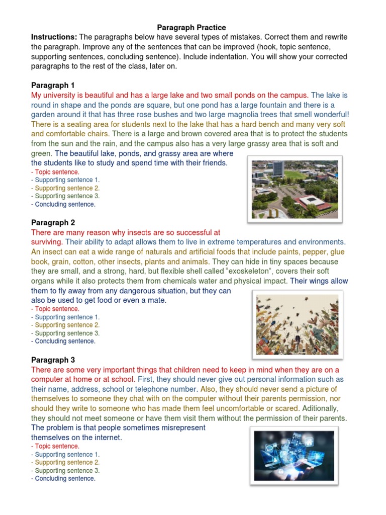 Paragraph Practice Instructions: The Paragraphs Below Have Several ...