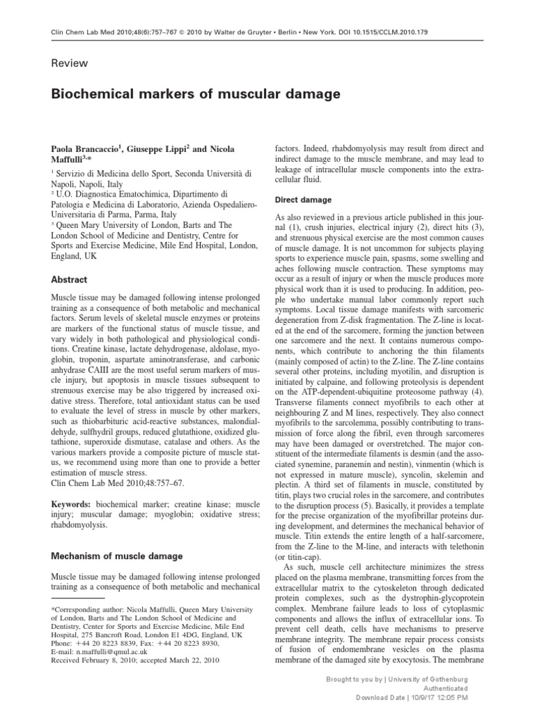 Brancaccio2010 Biochemical Markers of Muscular Damage | PDF | Lactate ...