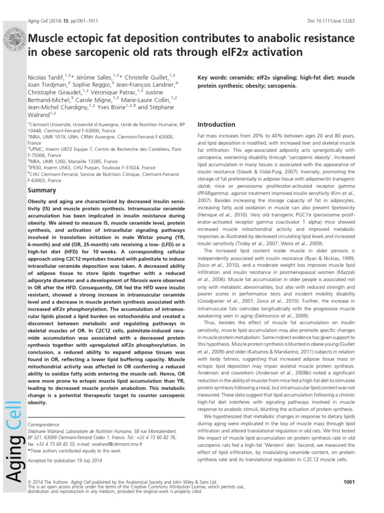 Muscle Ectopic Fat Deposition Contributes To Anabolic Resistance | PDF ...