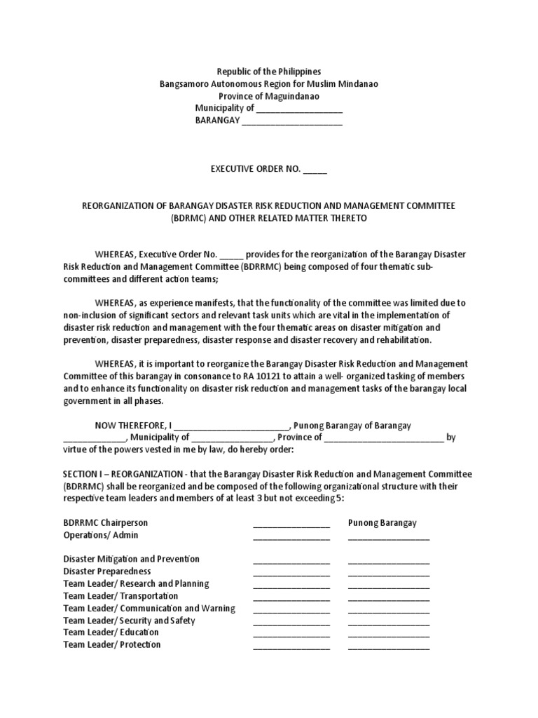 Sample Eexecutive Order For The Reorganization of The Barangay DRRM ...