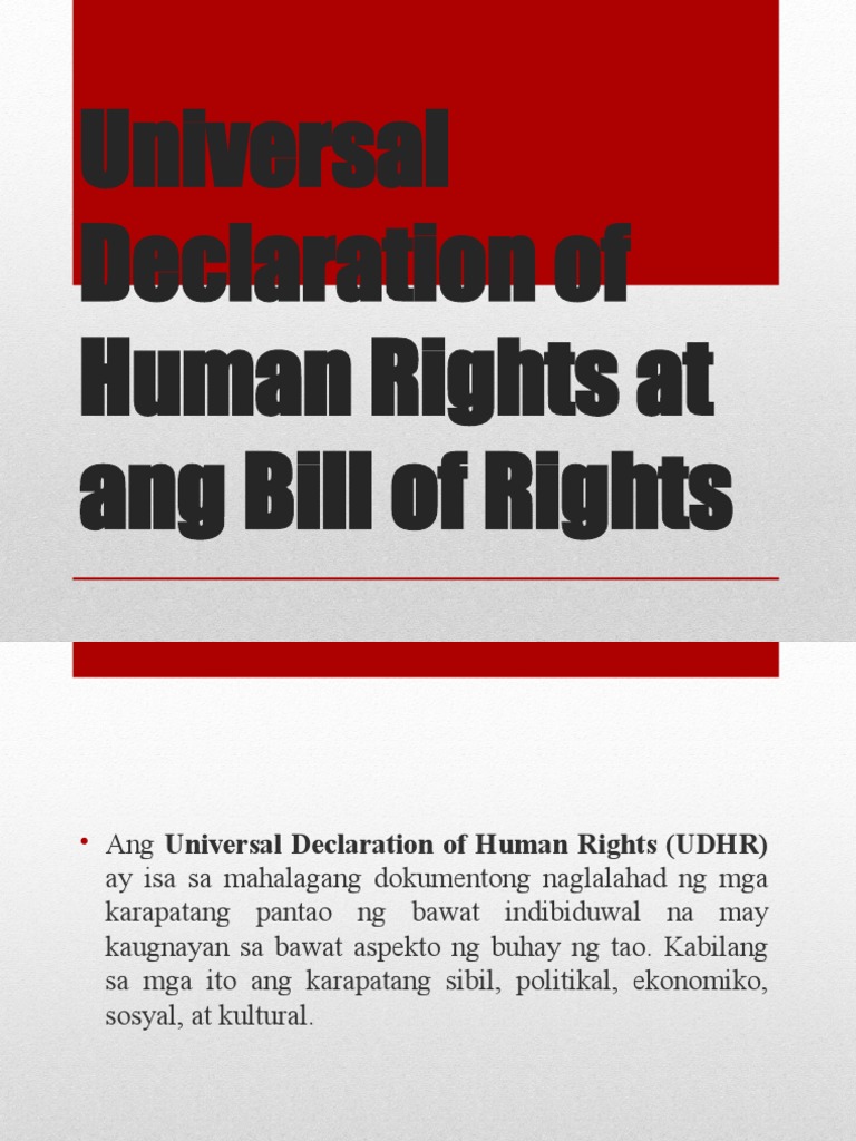 Universal Declaration of Human Rights | PDF