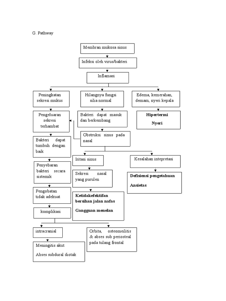 Pathway Sinusitis | PDF