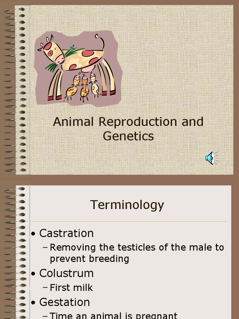 Understanding Animal Reproduction Through Terminology, Systems ...