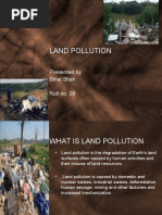 Geography (Land Pollution) Project | PDF