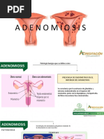 Quemaduras Faciales y Signos de Flogosis | PDF | Quemar | Inflamación