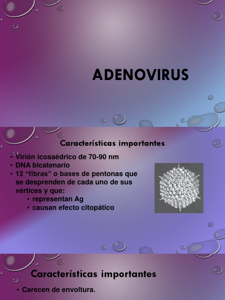 ADENOVIRUS | PDF | Adenoviridae | Inmunología