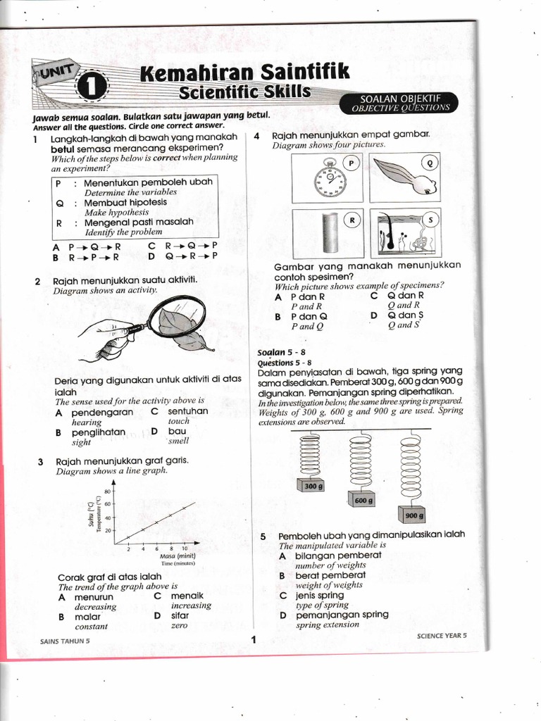 Science Year 5 Worksheet | PDF