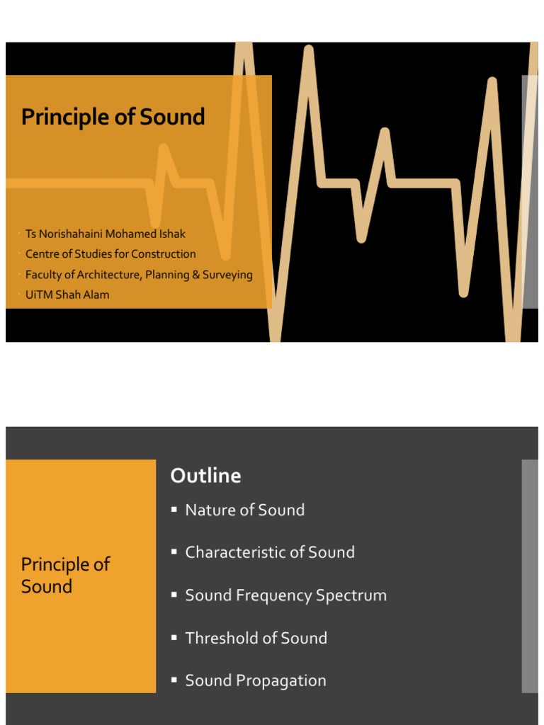 Principle of Sound | PDF | Sound | Pitch (Music)