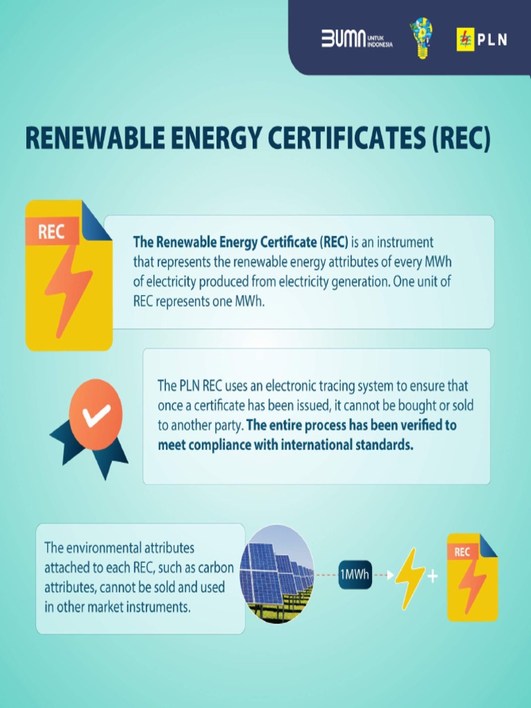 REC Infographic English Version | PDF