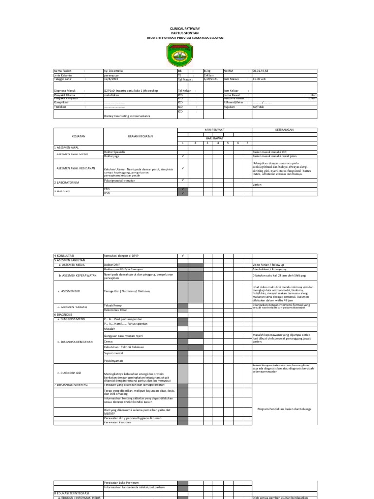 Clinical Pathway Partus Spontan | PDF