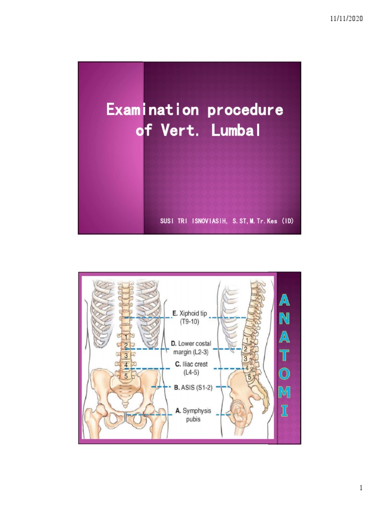 LUMBAL | PDF | Ilmu Sosial | Sains & Matematika
