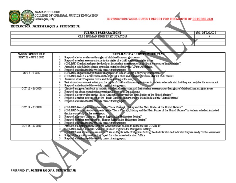 Format For Work Output Report | PDF | Human Nature | Test/Examination