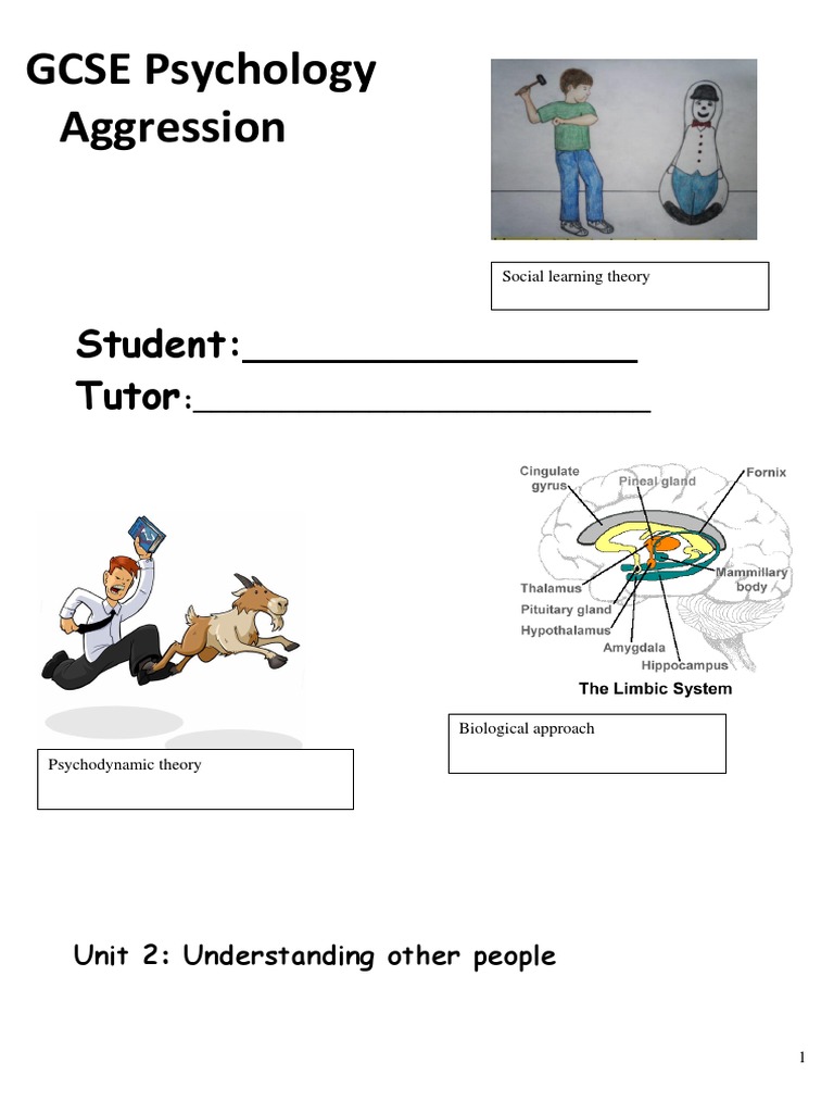 GCSE Psychology Aggression: Student: - Tutor | PDF | Aggression | Human ...