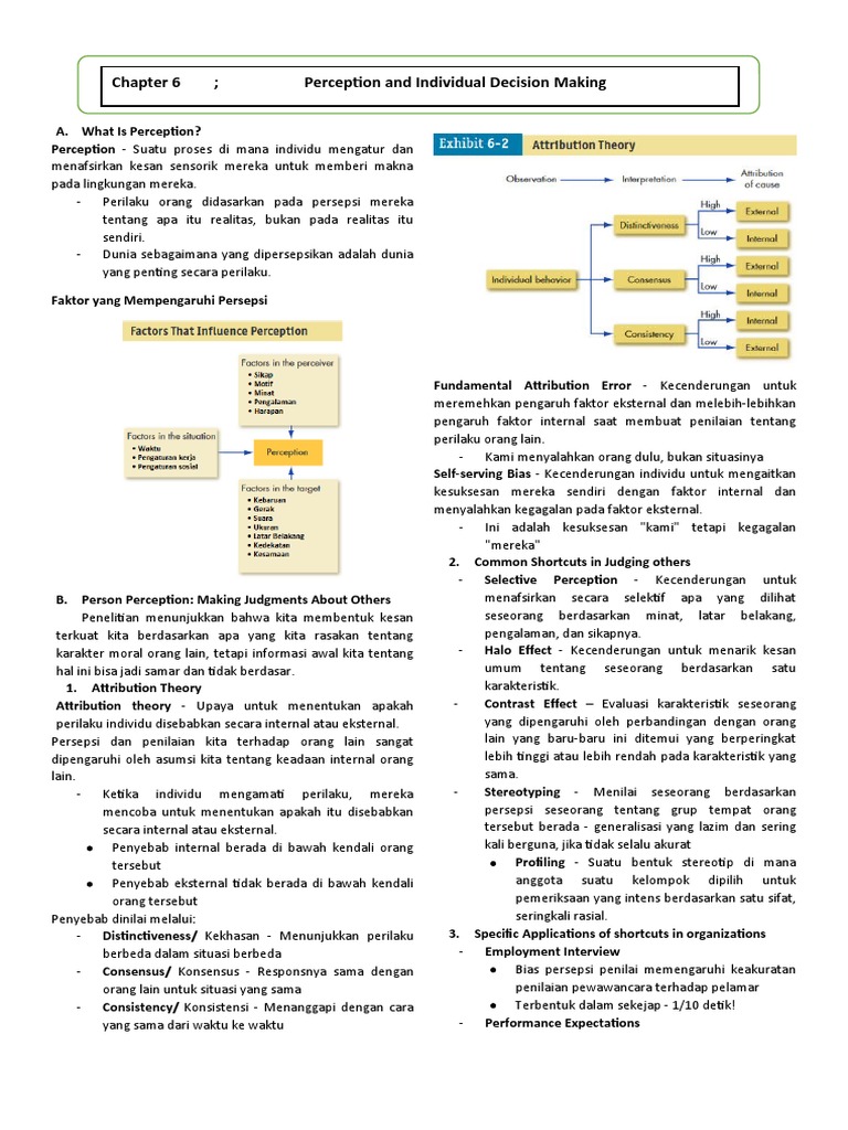 Chapter 6 - Perception and Individual Decision Making | PDF