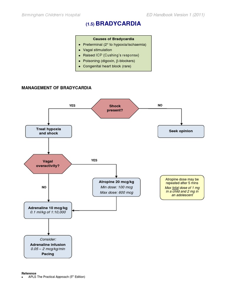 Bradycardia: Birmingham Children's Hospital ED Handbook Version 1 (2011 ...