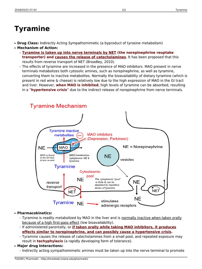 Tyramine: Drug Class: Indirectly Acting Sympathomimetic (A Byproduct of ...