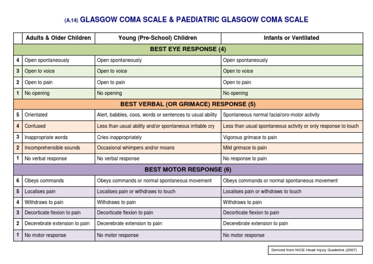 Glasgow Coma Scale & Paediatric Glasgow Coma Scale: Best Eye Response ...