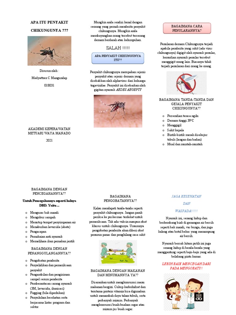 Leaflet P2M - Chikungunya Medyattrex | PDF