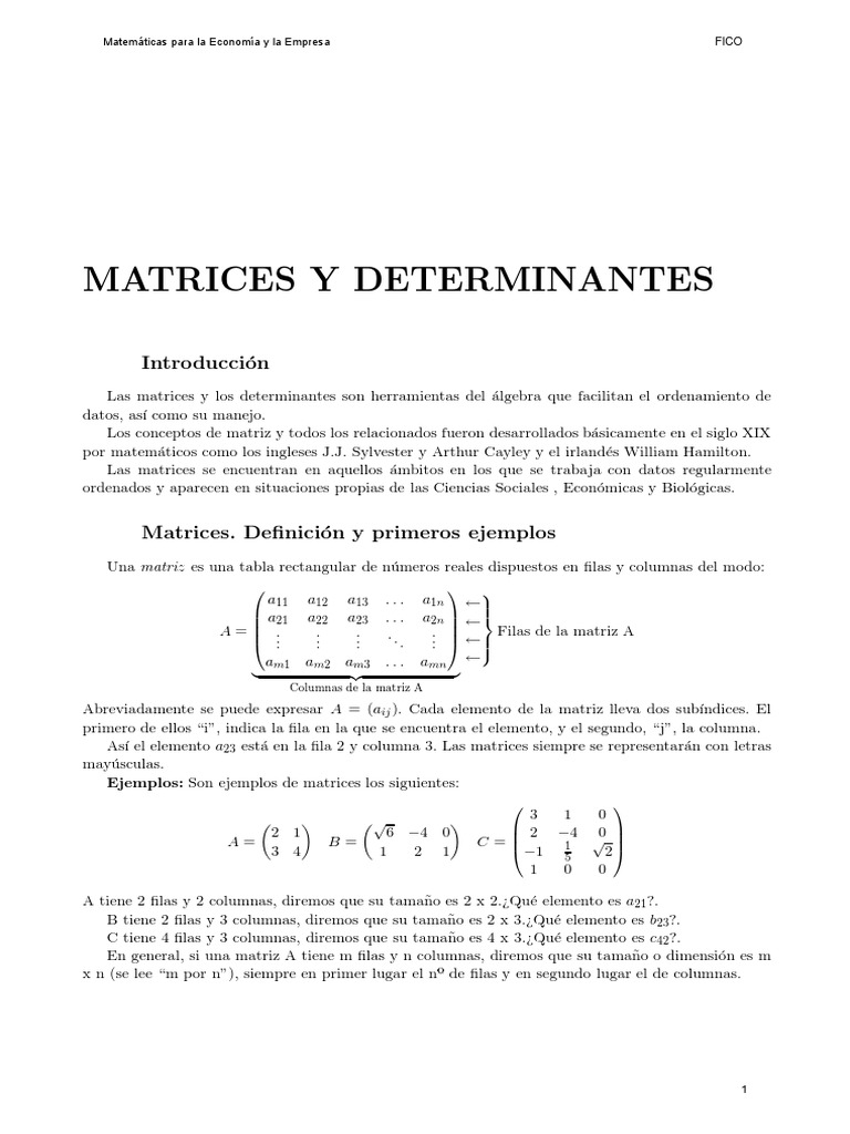 Teoria de Matrices FICO | PDF | Determinante | Matriz (Matemáticas)