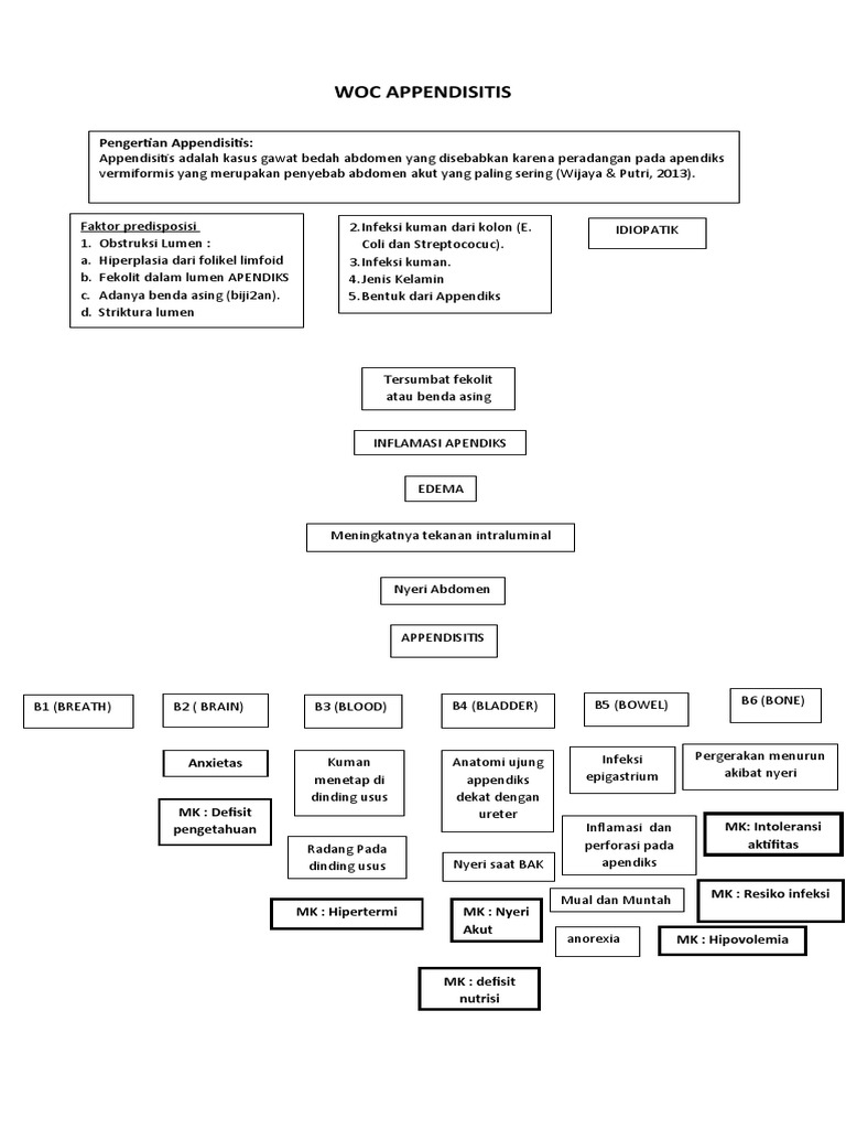 Woc Apendisitis | PDF