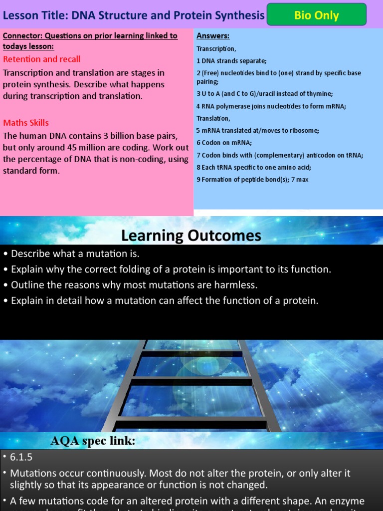 Biology Students: DNA & Mutations | PDF | Mutation | Translation (Biology)