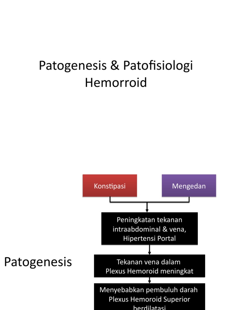 Patogenesis & Patofisiologi Hemorrhoid